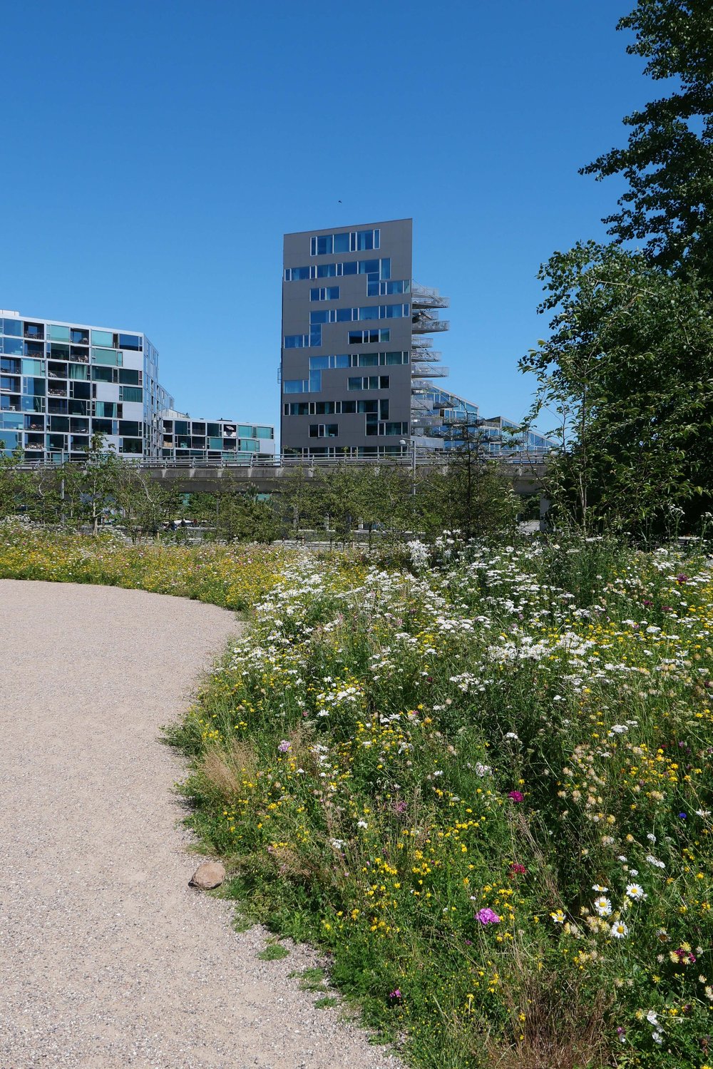 City Park in Ørestad — danish architecture and design review