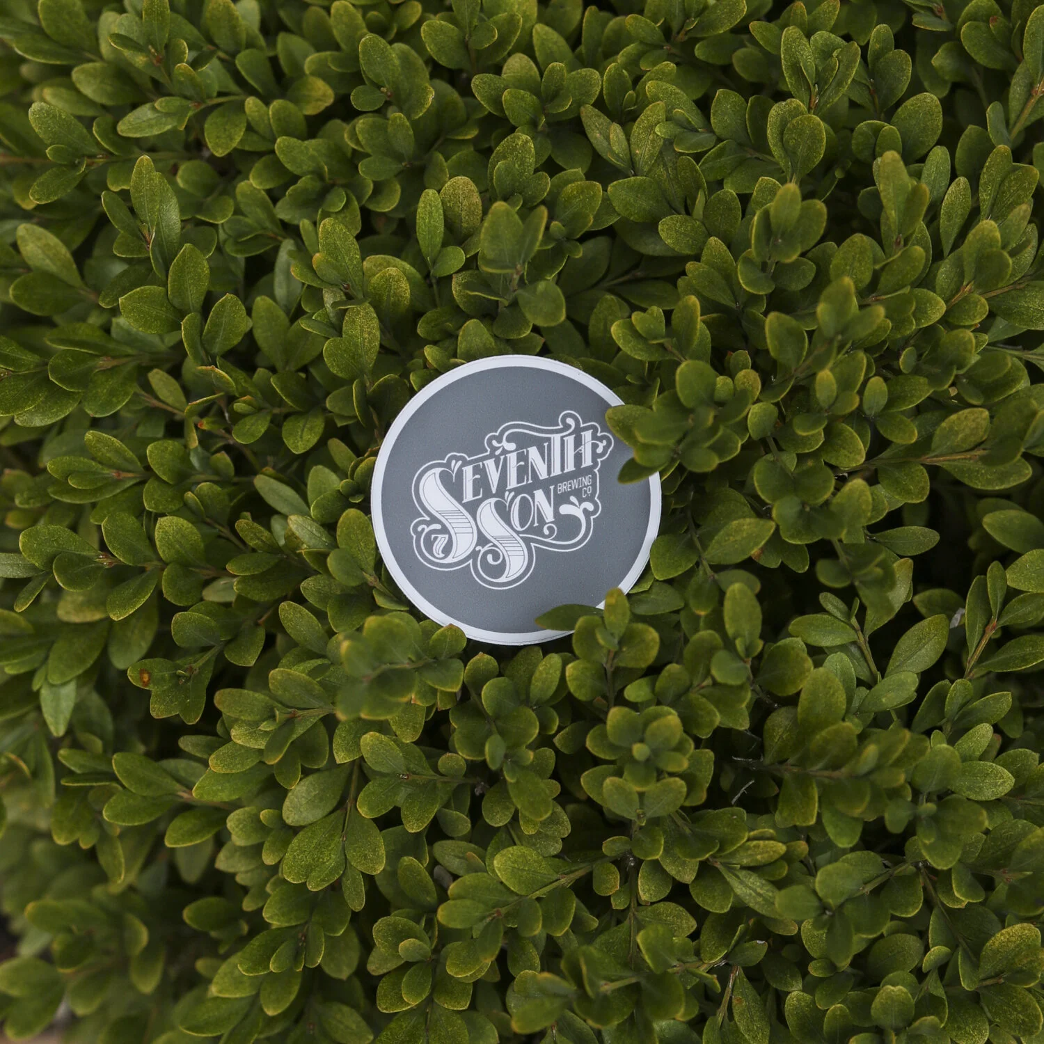 Shop Seventh Son Brewing's Beer and Merch - Seventh Son