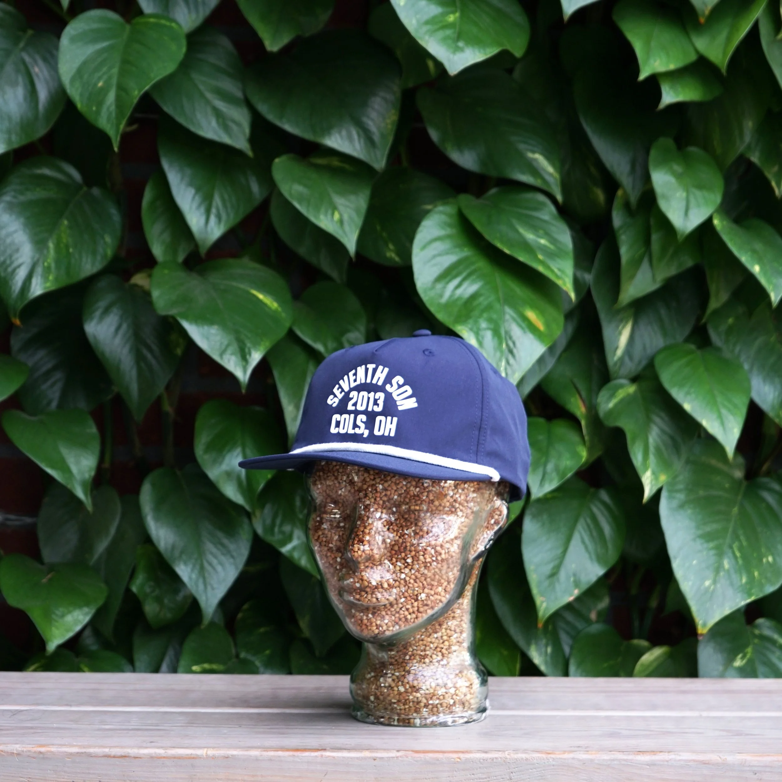 Shop Seventh Son Brewing's Beer and Merch - Seventh Son Brewing Co.