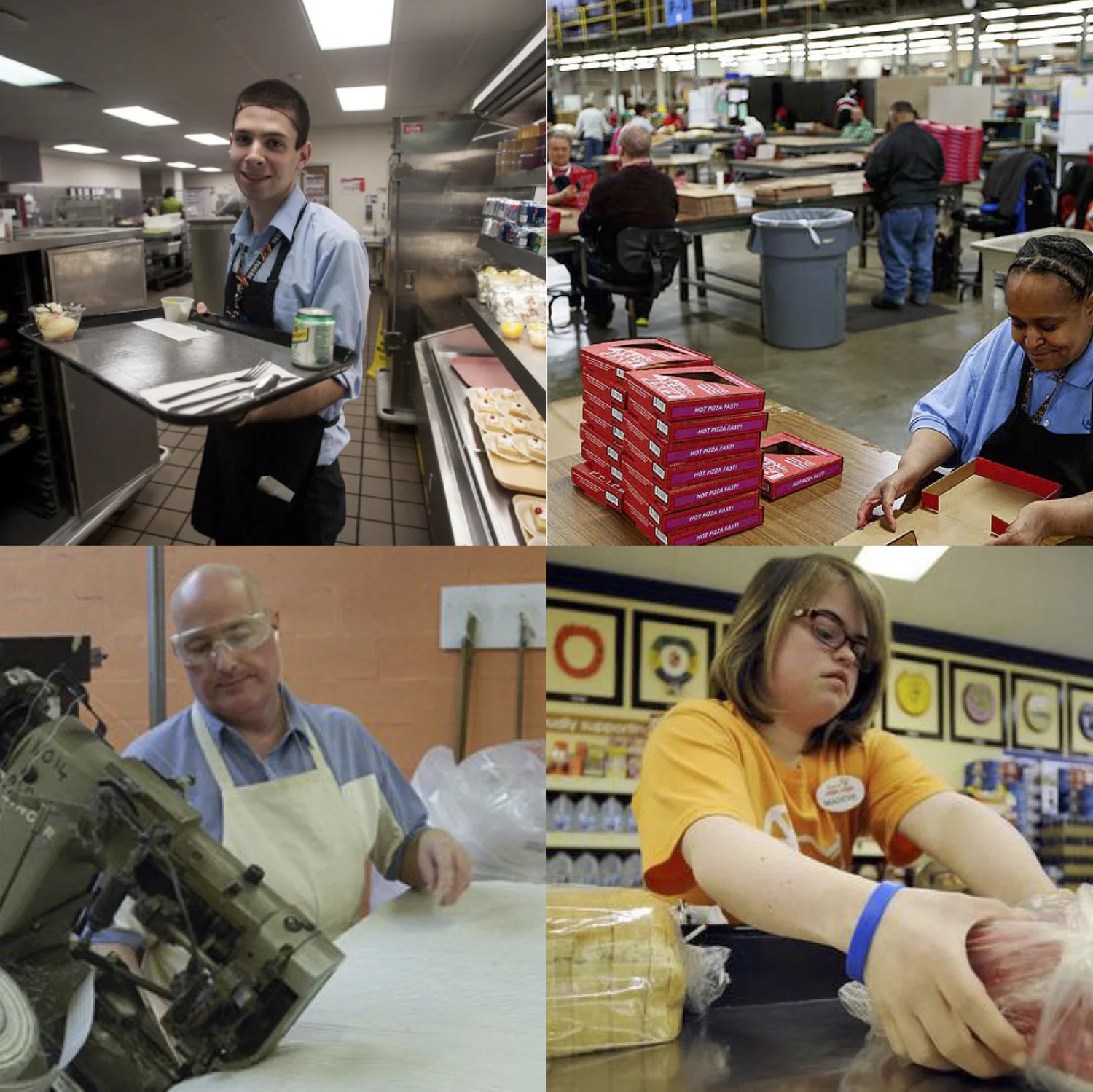 Community Employment Services — Link Associates