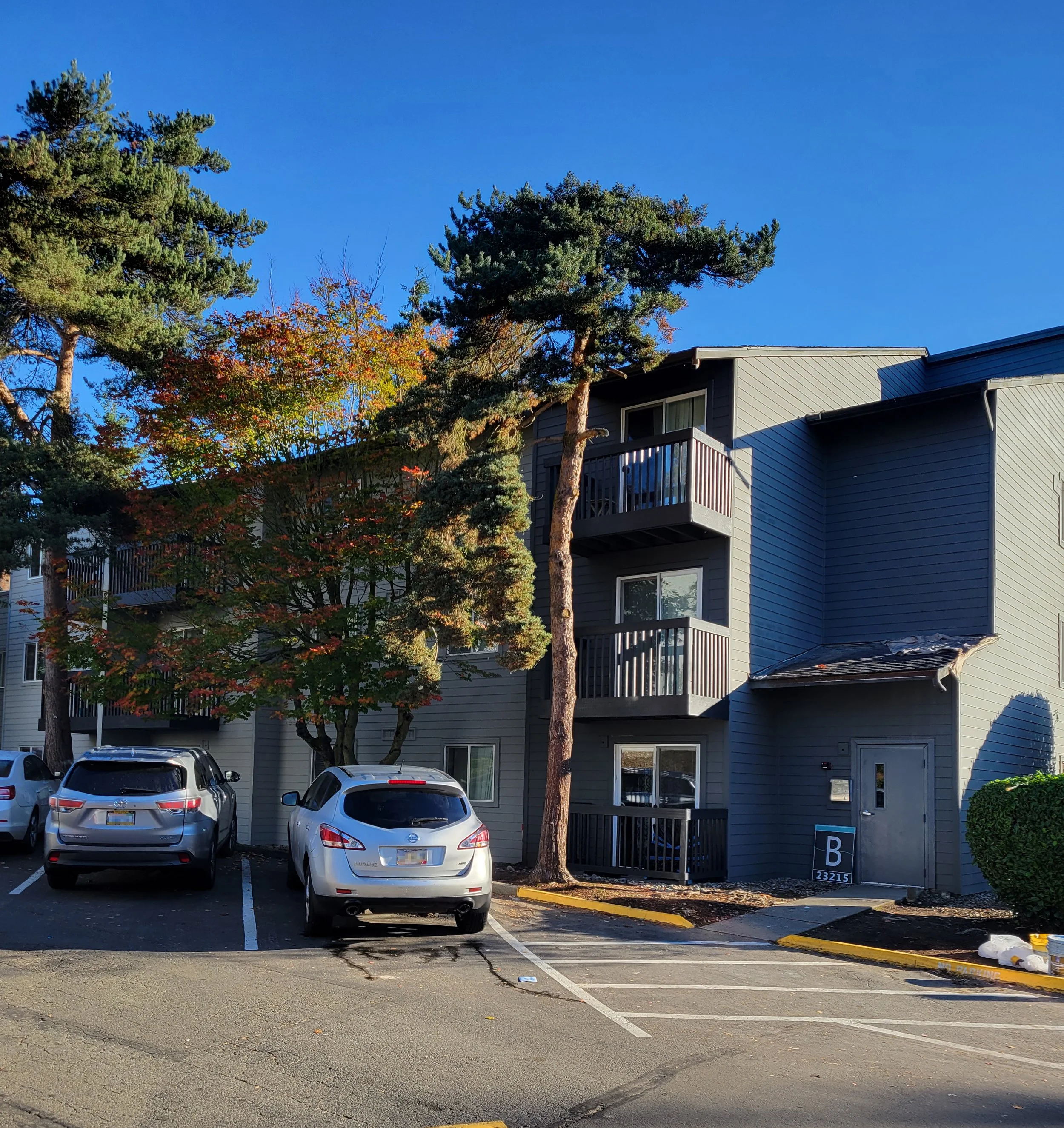 Pacific Park — CDK Construction