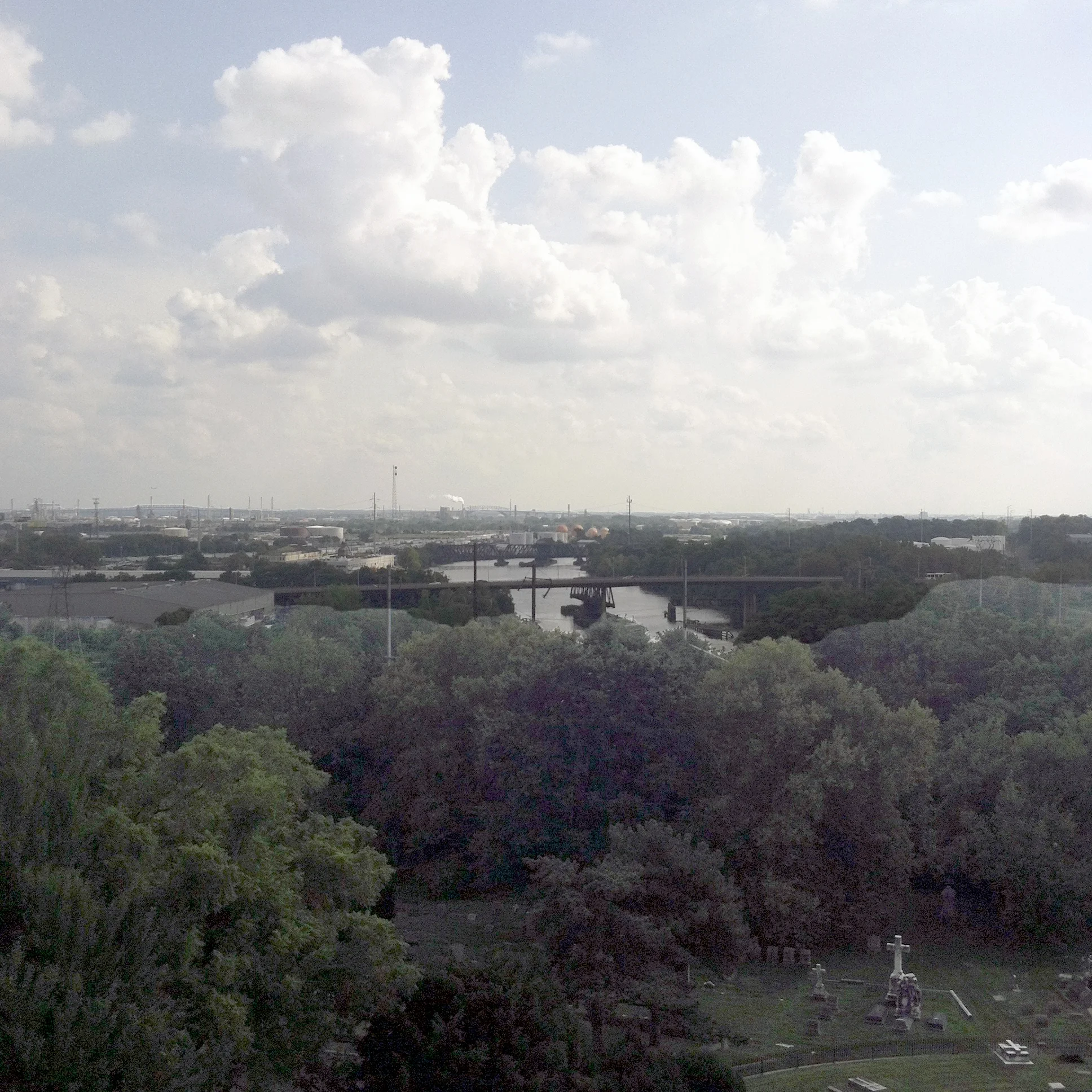 Champion Tree Care — The Woodlands