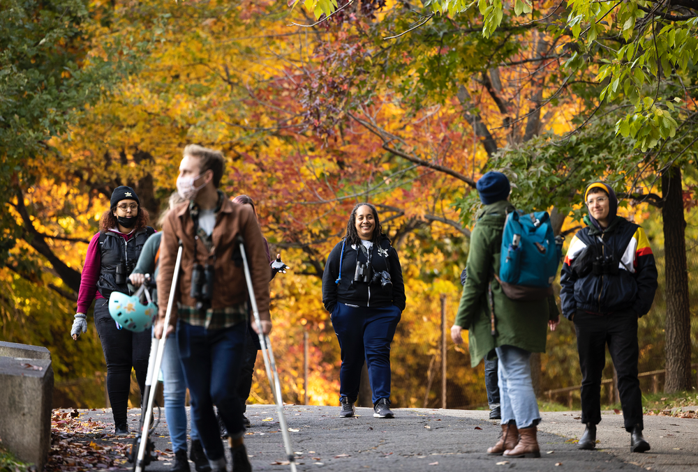 Plan Your Visit — The Woodlands