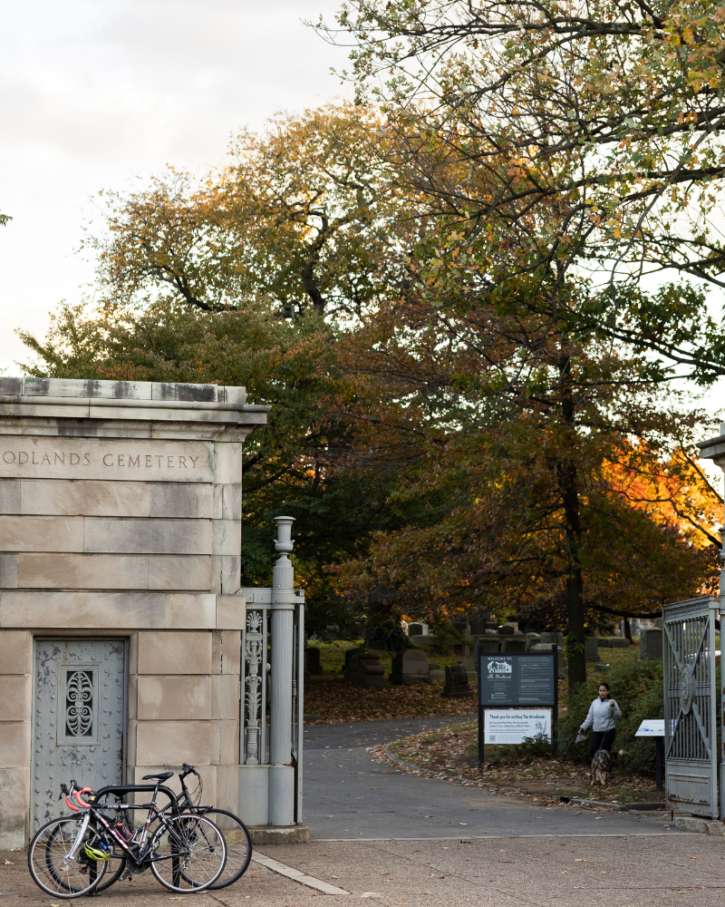 Plan Your Visit — The Woodlands