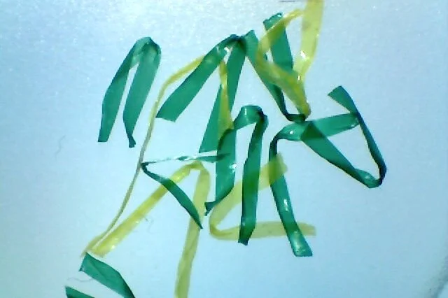 How We Designed Microplastics into our Diet — Christopher Roosen