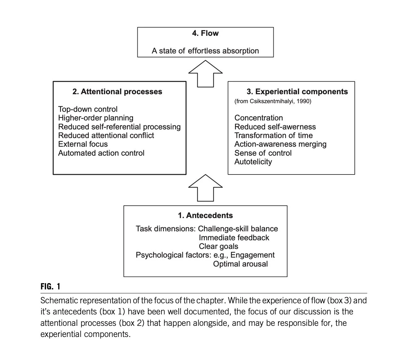 Psychological Flow In Writing with Placeholders — Christopher Roosen