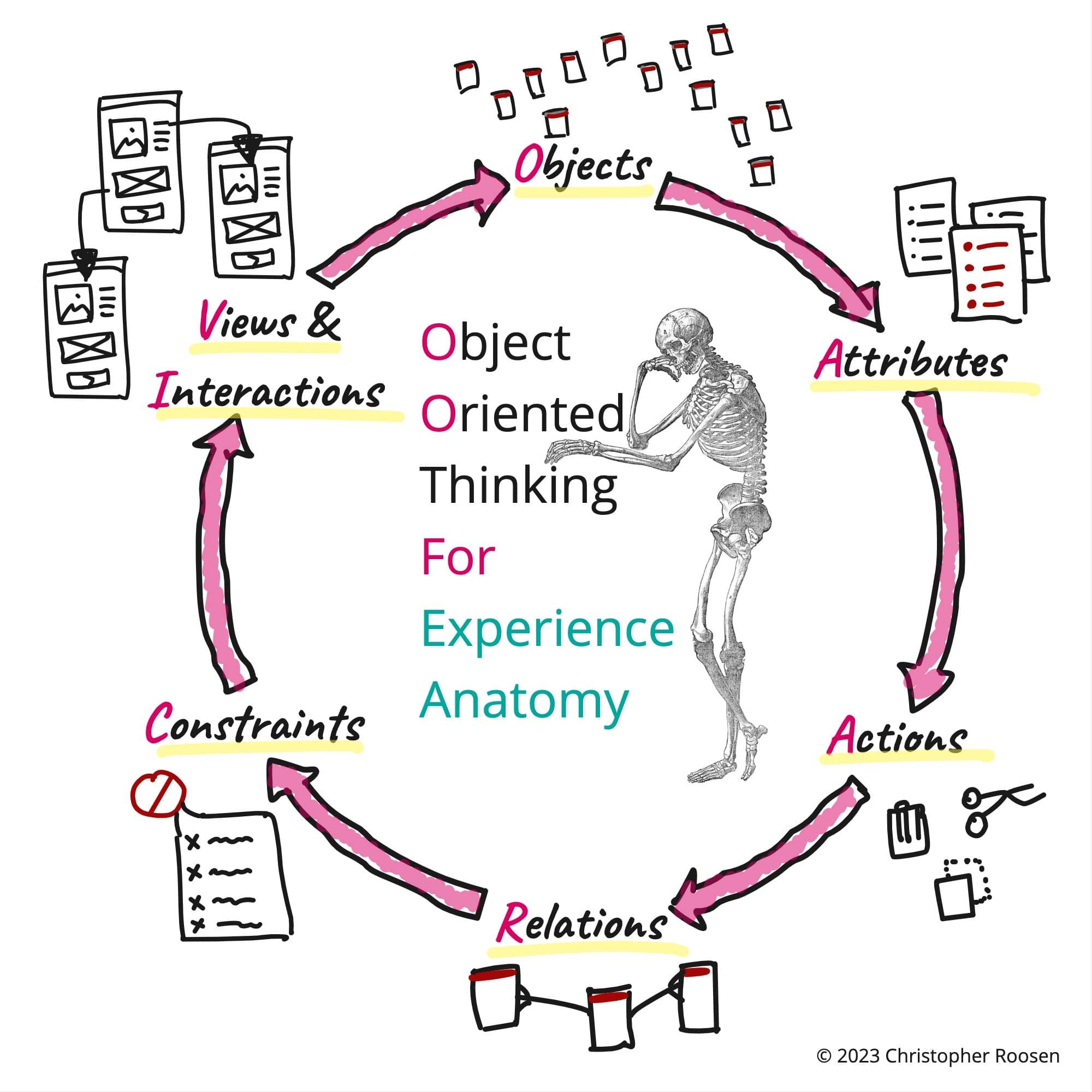 Anatomy Of The User