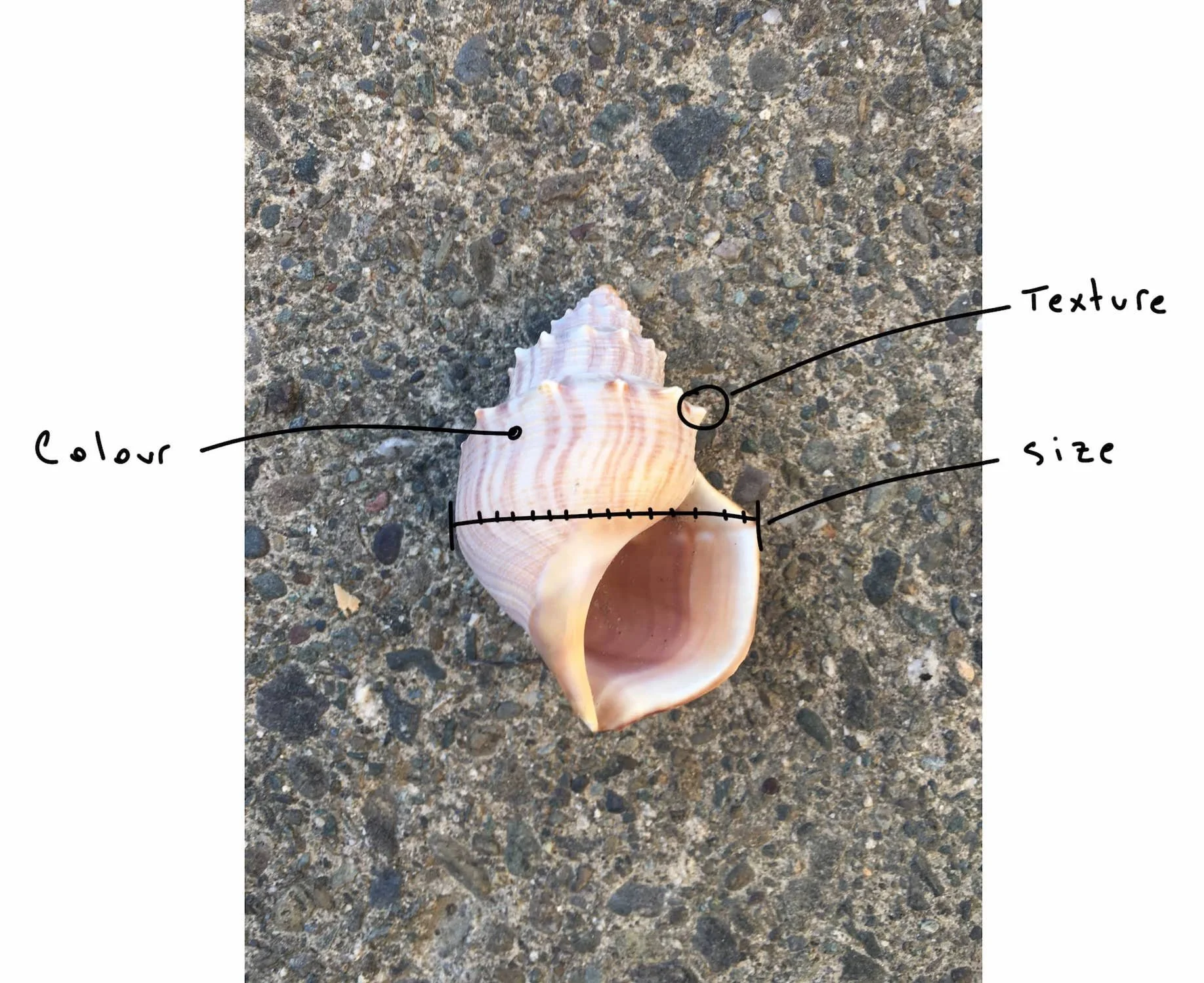 The Long Quest for Object-Oriented User Interface Design: Part 1 - Setting the Scene ...