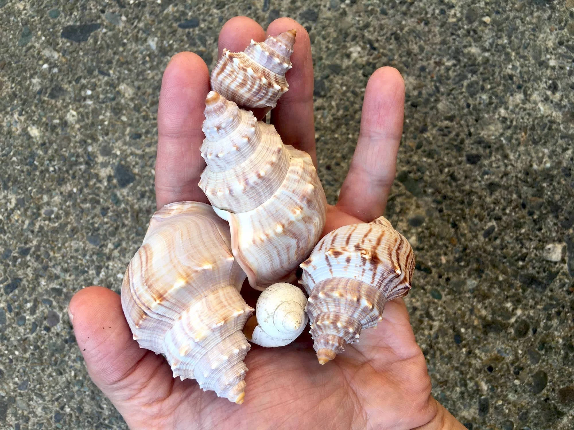 The Long Quest for Object-Oriented User Interface Design: Part 1 - Setting the Scene ...