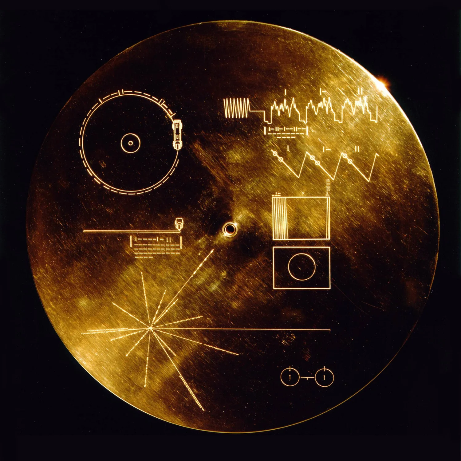 The Joy, and Peril, of Phonographs, Gramophones and Vinyl Record ...