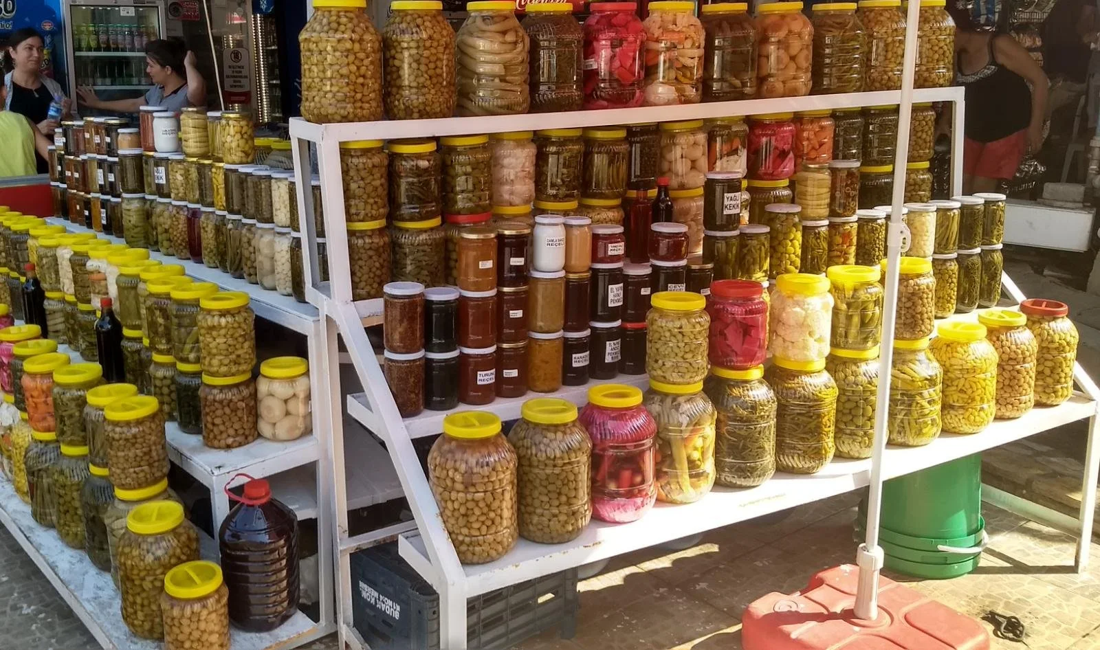 The Ancient, Universal and Overlapping Technologies of Pickling and ...