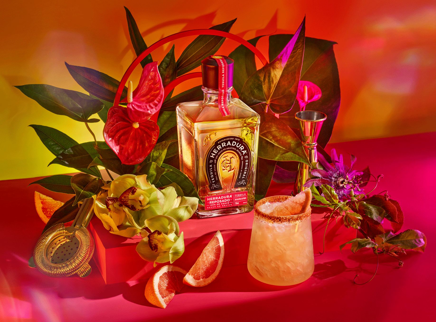 Tina Bell Stamos - Food Stylist