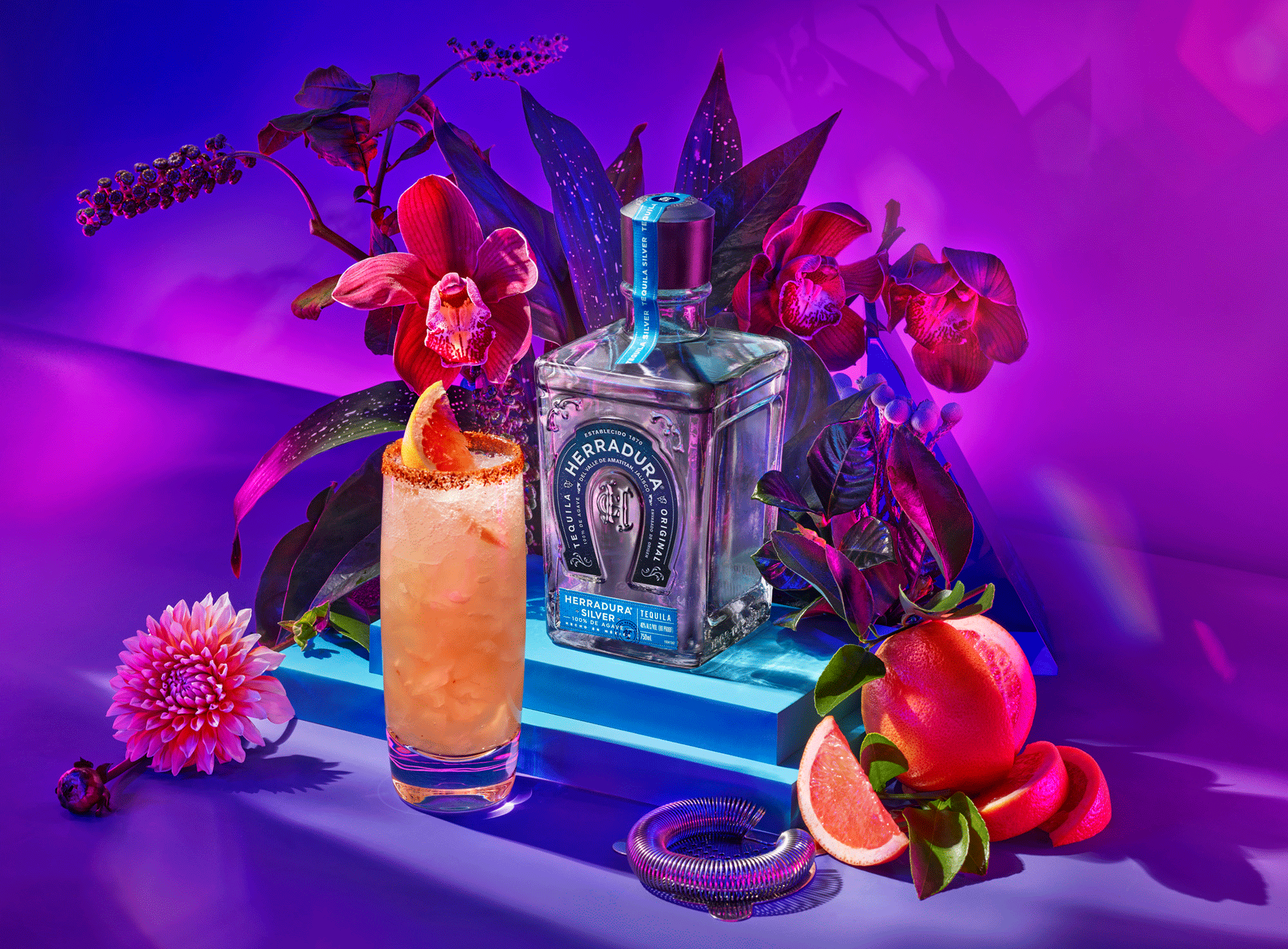 Tina Bell Stamos - Food Stylist