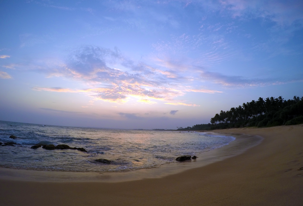 Sri Lanka. La vie sauvage de Tangalle — Virginie Lentulus