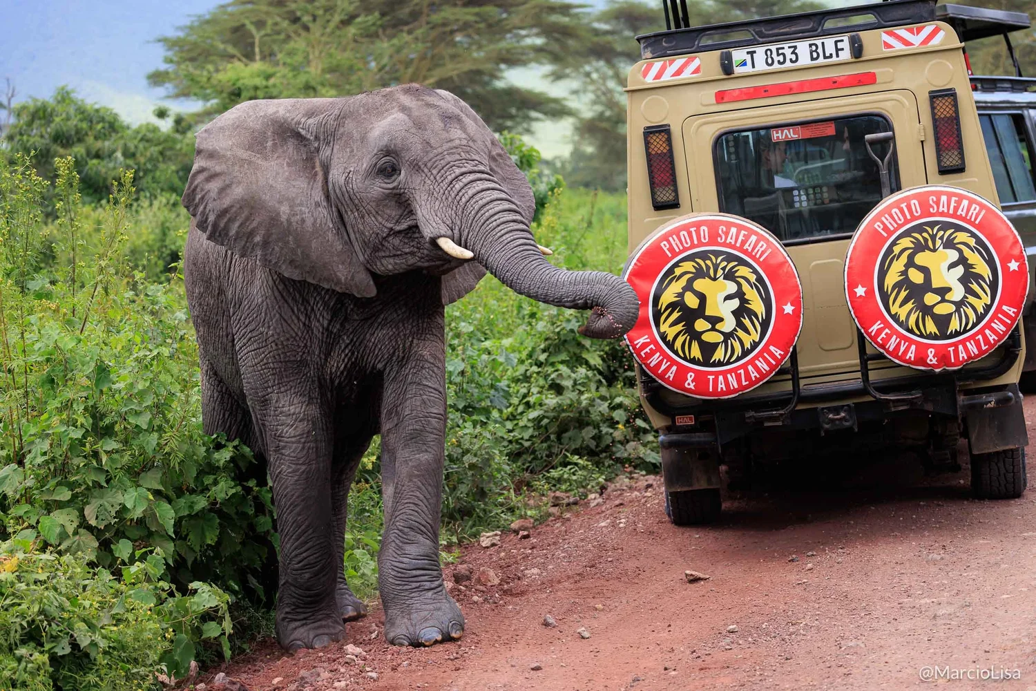 Roteiro de Viagem e Turismo Quênia e Tanzânia - Photo Safari Expedições