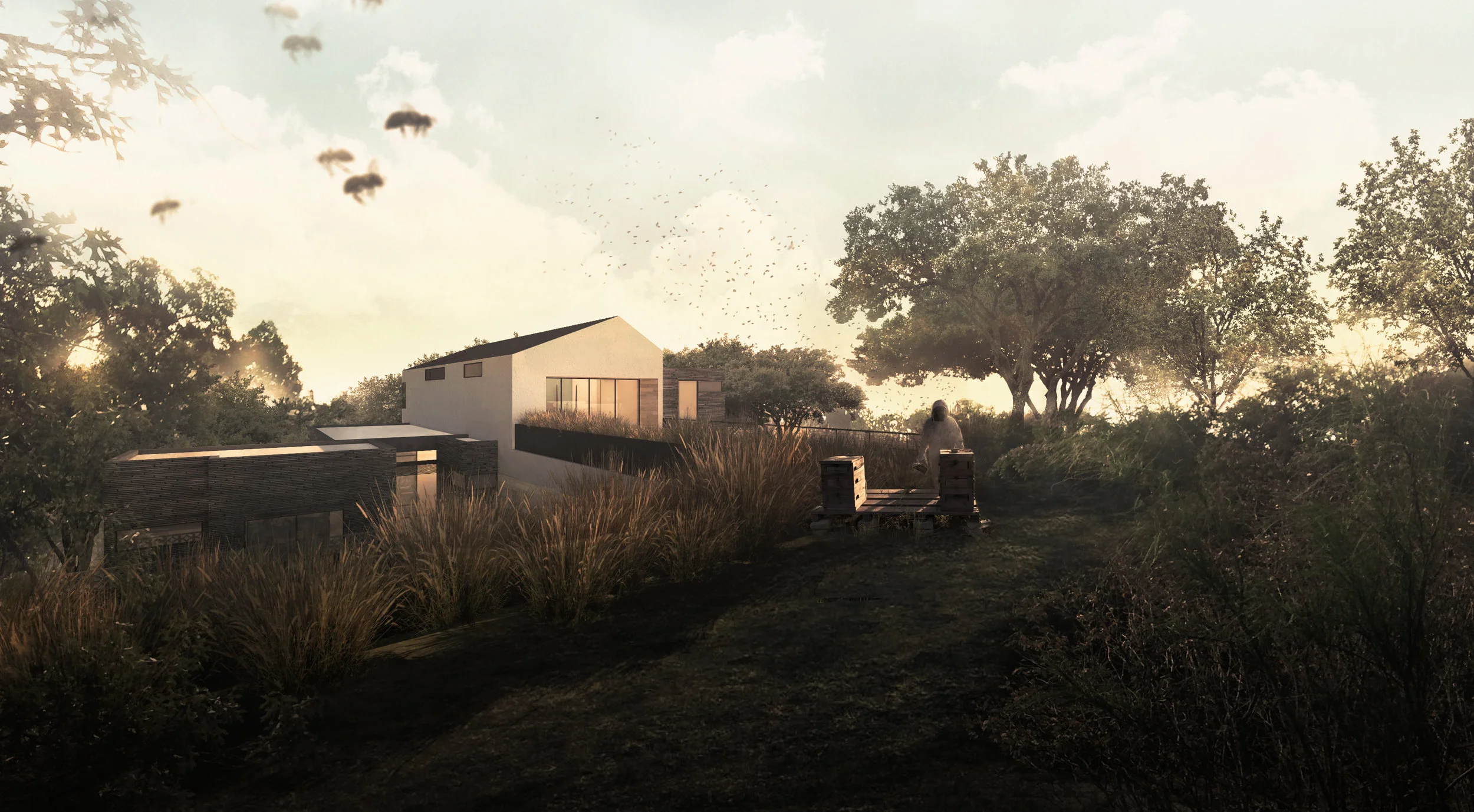 WORK - Descendant House — Matt Fajkus Architecture - Sustainable ...