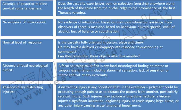 Spinal Injury in Remote Environments — REAL First Aid