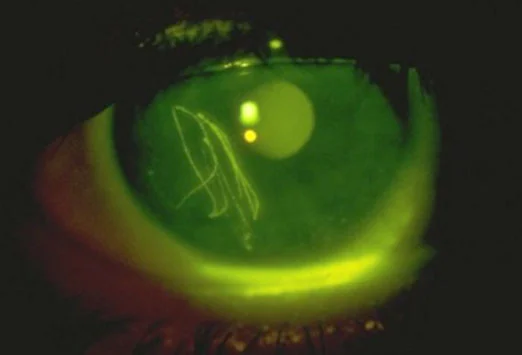 Diagnostics — REAL First Aid