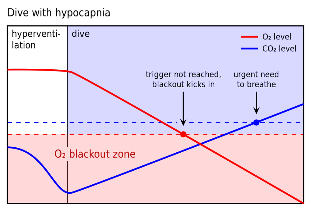 Understanding Drowning — REAL First Aid