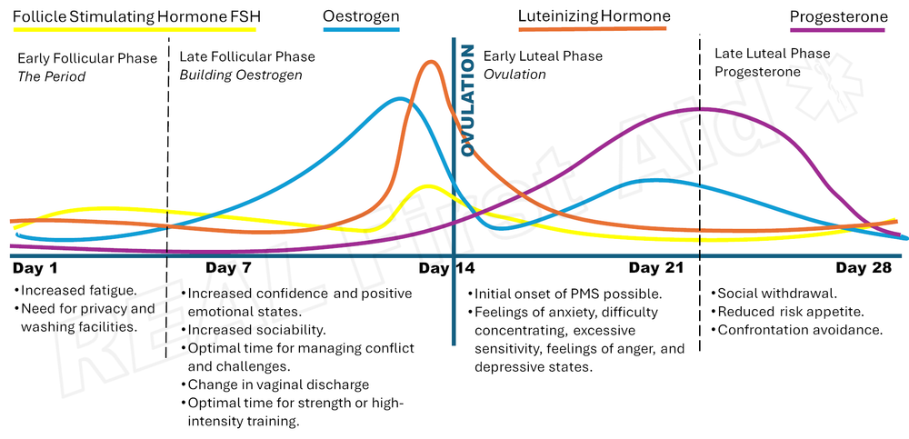 Understanding Menstruation — REAL First Aid