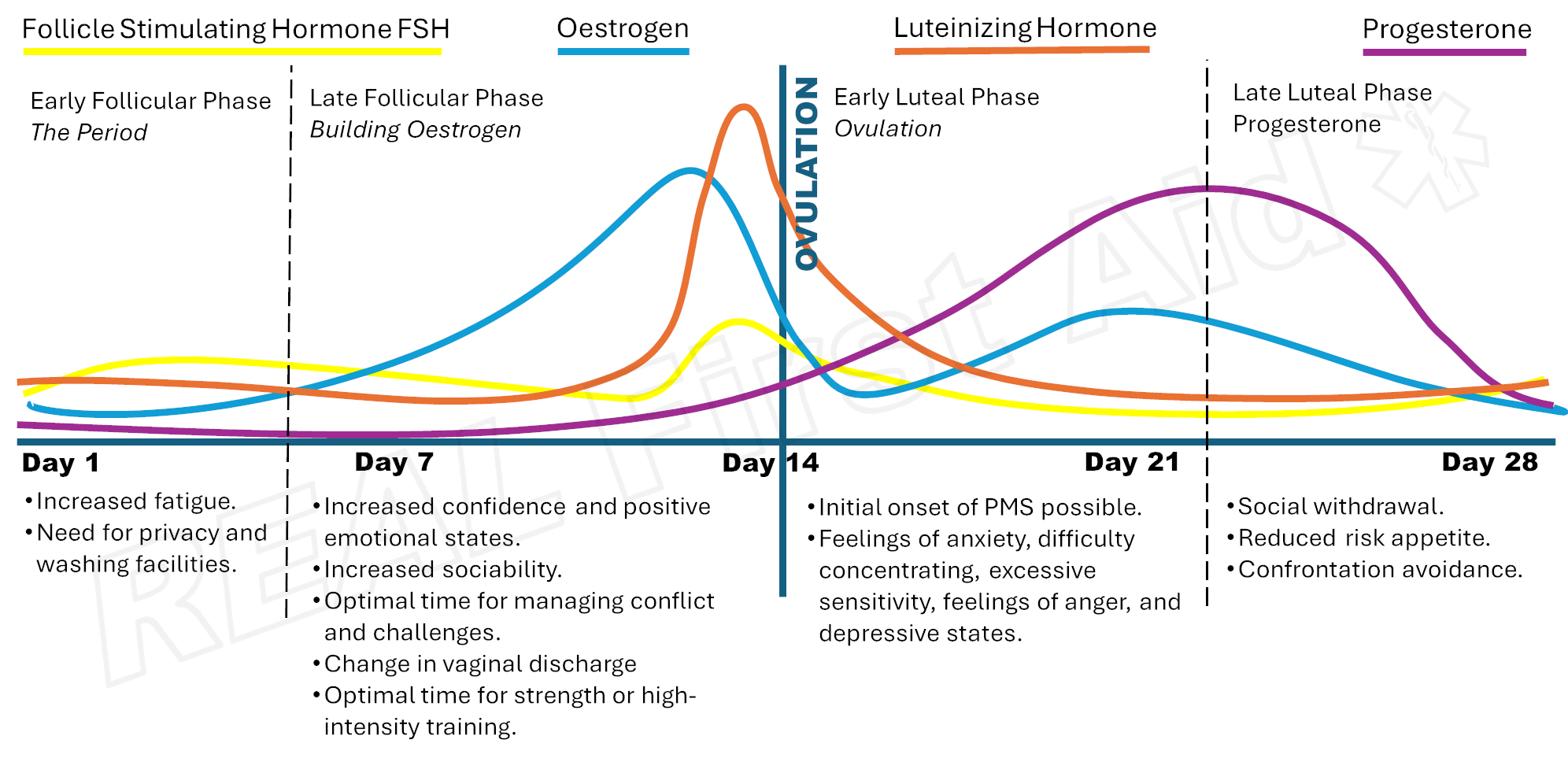 Understanding Menstruation — REAL First Aid