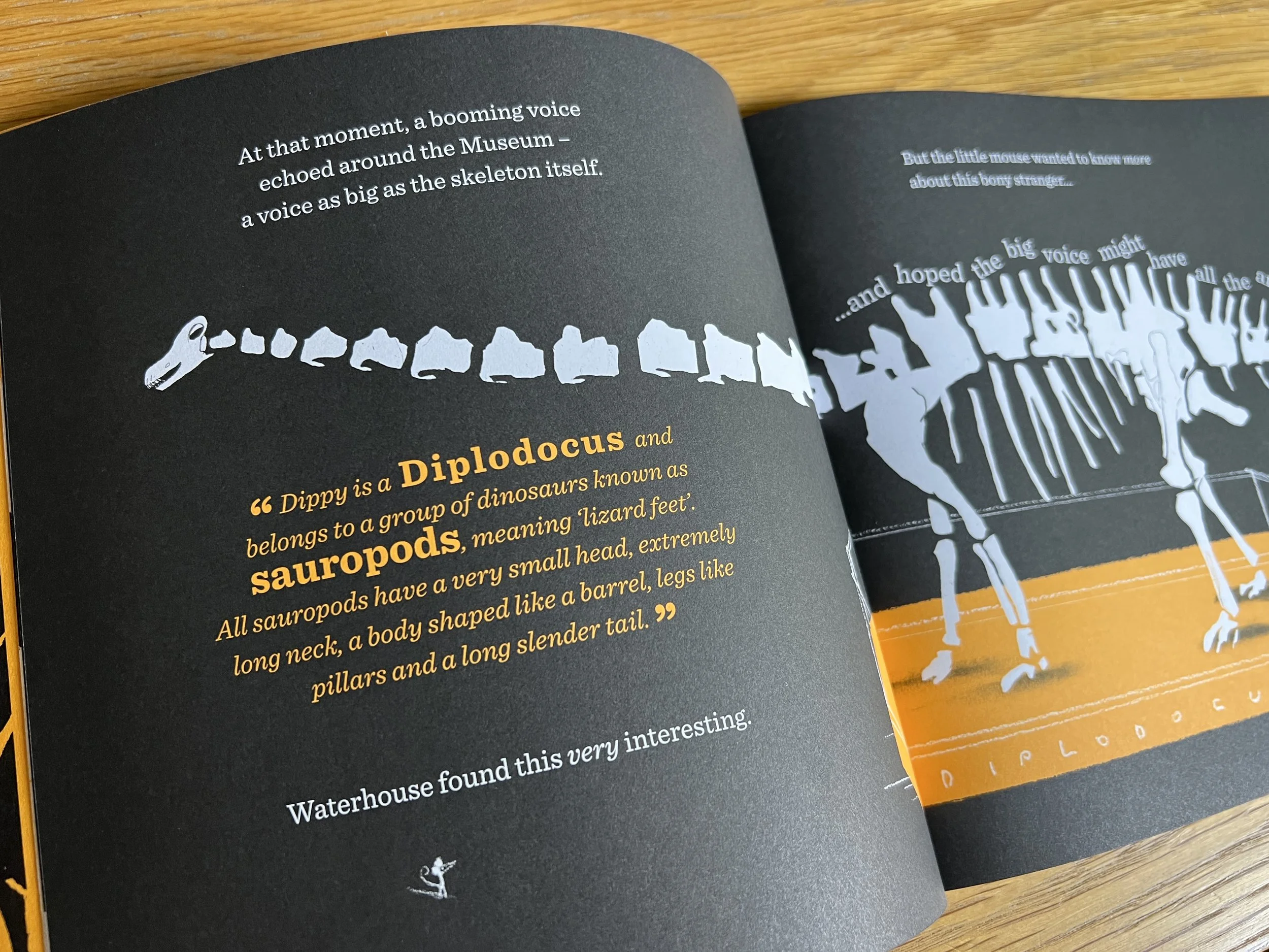 Dippy The Nation's Favourite Dinosaur. A new book for the Natural ...