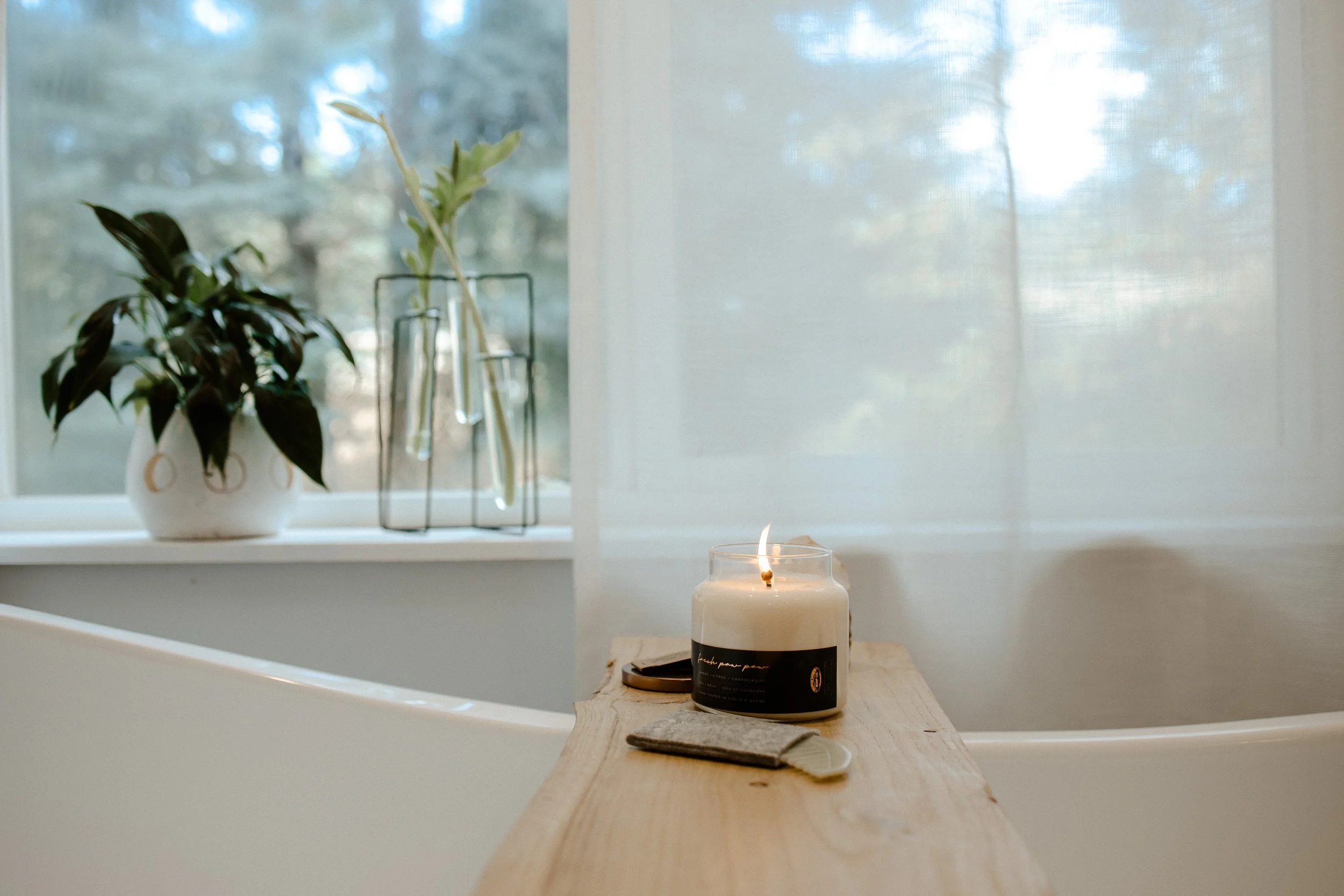 chronic stress and the nervous system — KIM EGEL