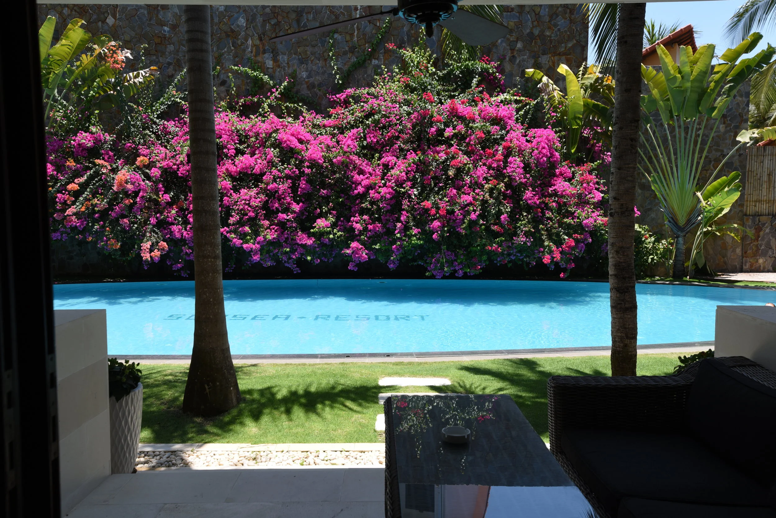 Pool View Double Room