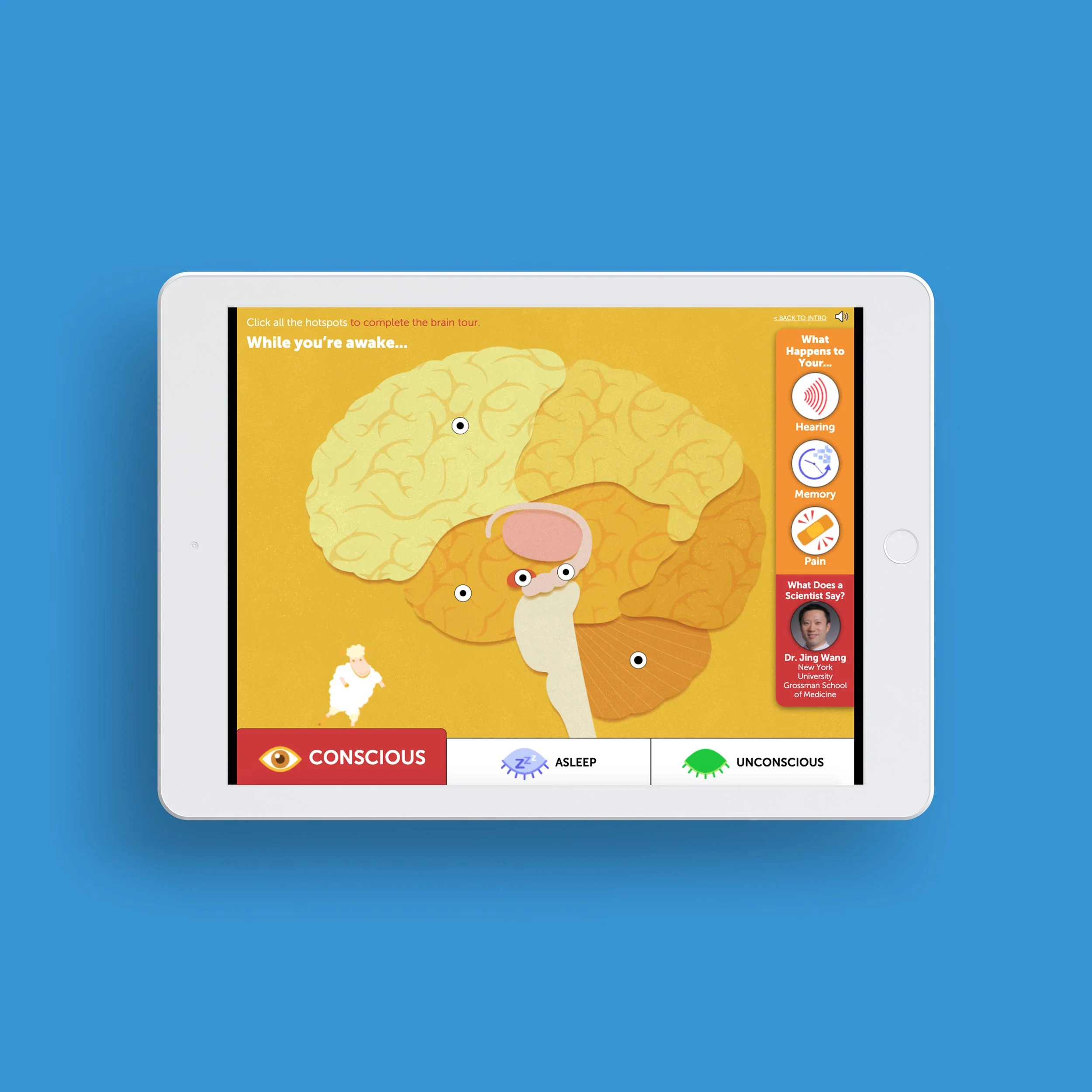 Scholastic: Tour Your Brain — Kata Illustration Portfolio