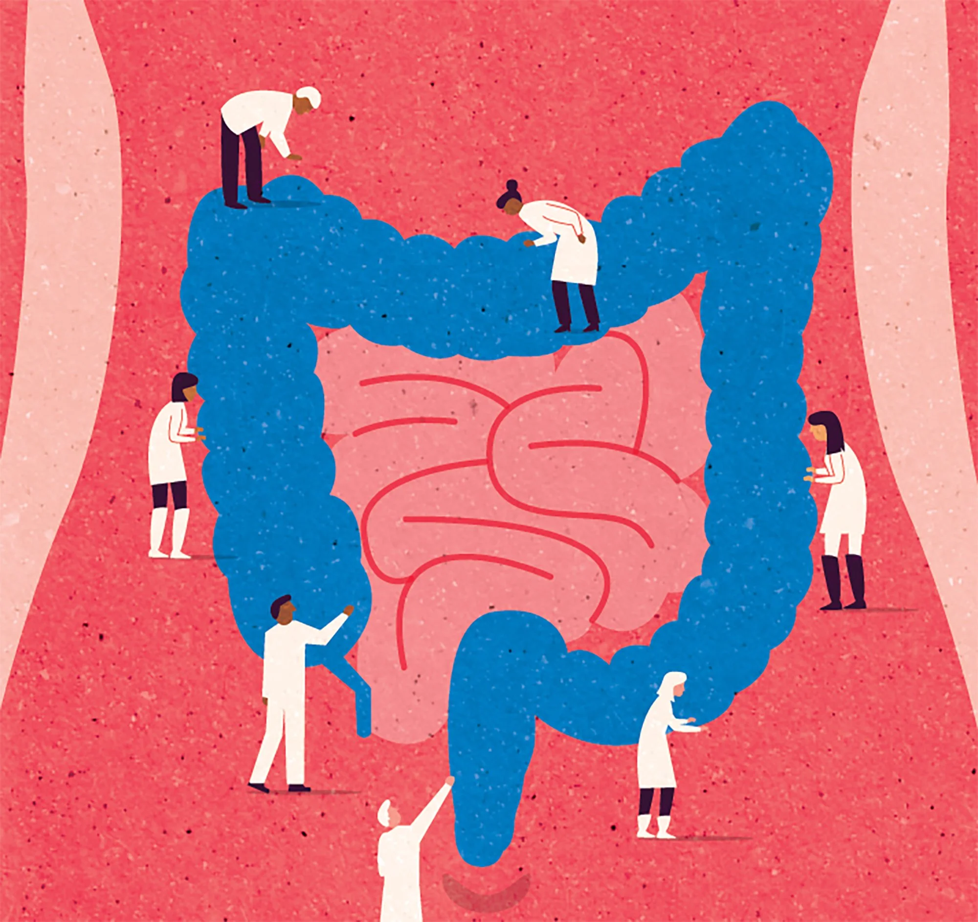 Editorial 2022 — Kata Illustration Portfolio