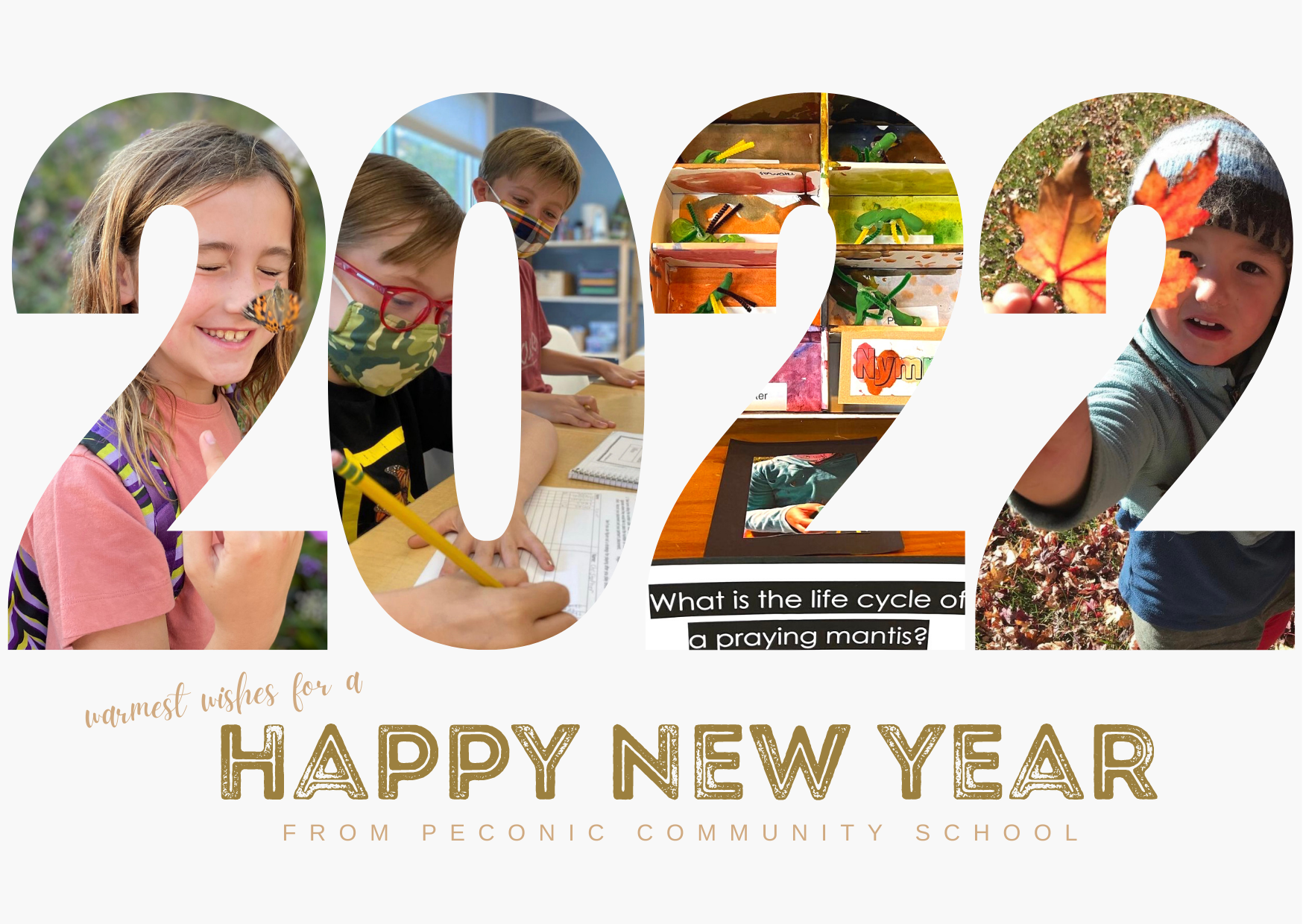 Blog — Peconic Community School