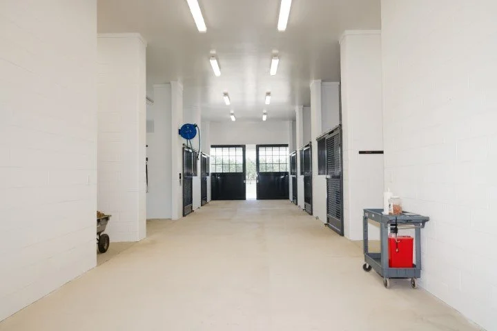 Facility — Foundation Equine Clinic