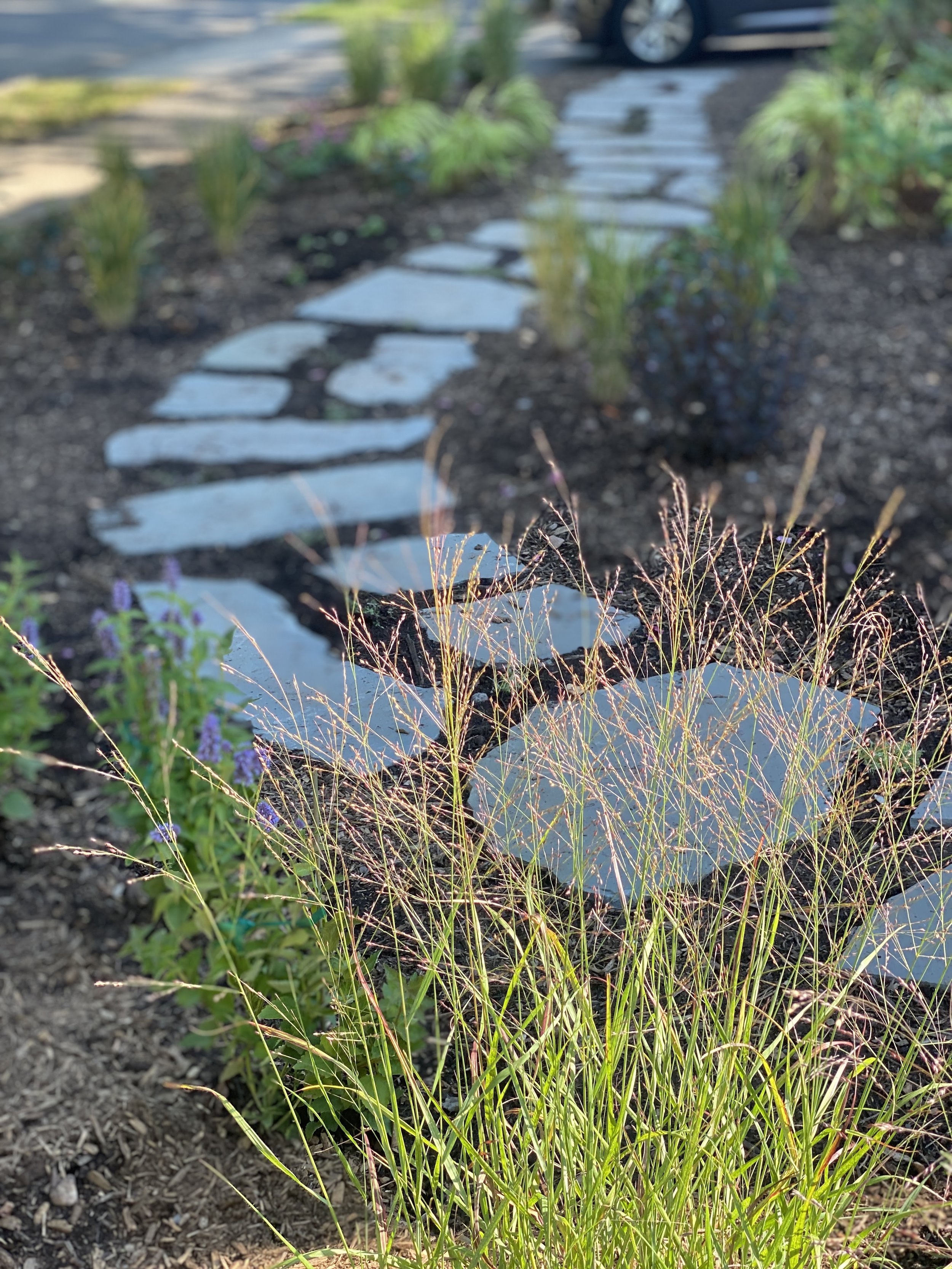 Adding Natives to Your Garden — The Brookdale Park Conservancy