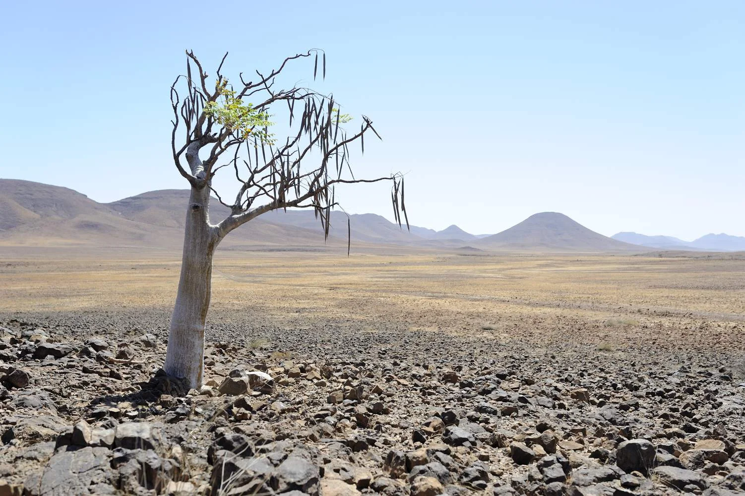 Thijs Heslenfeld - travel photographer & wilderness guide