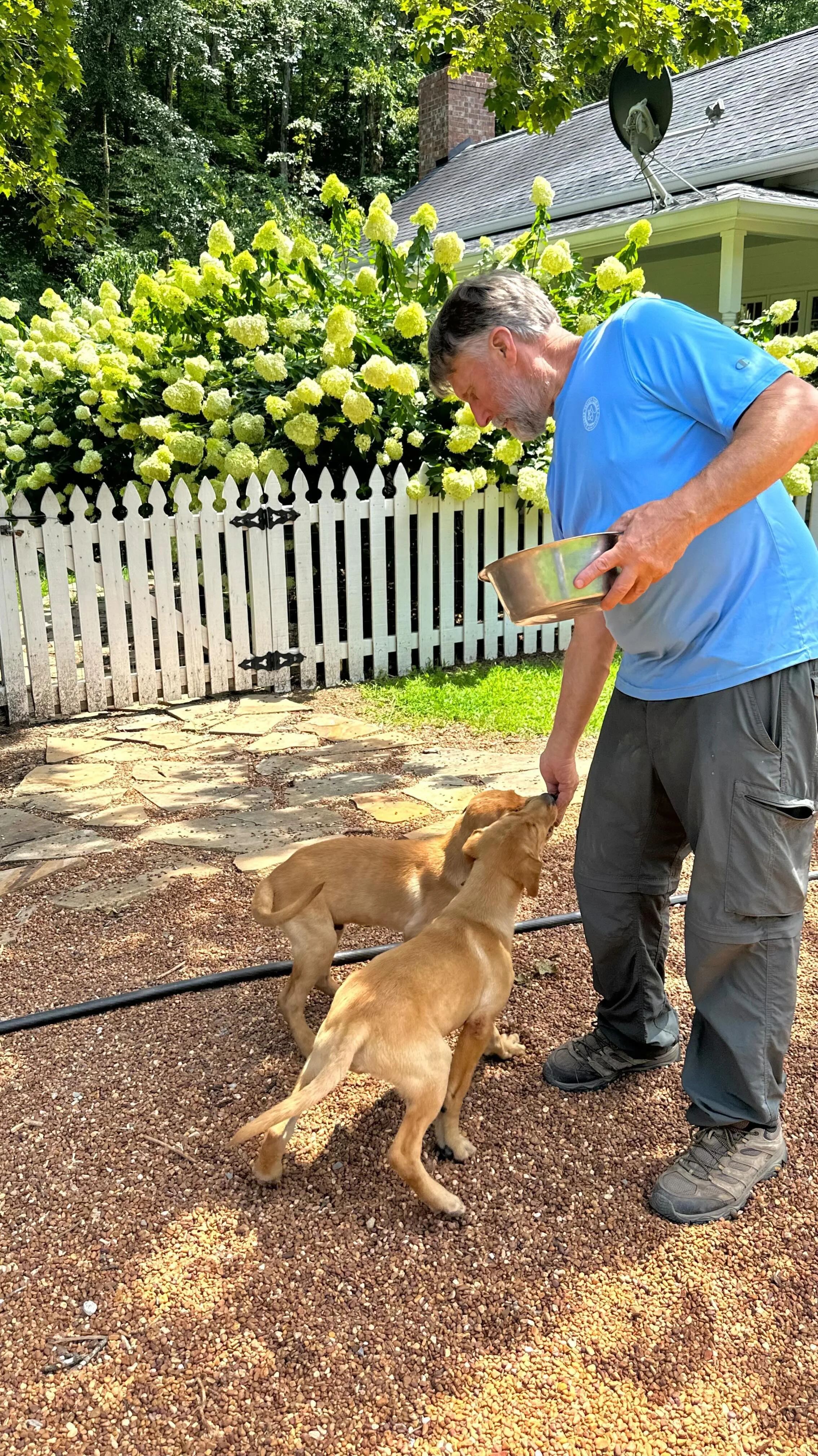 Cedar Valley Canine | Dog Training and German Shepherd Breeding