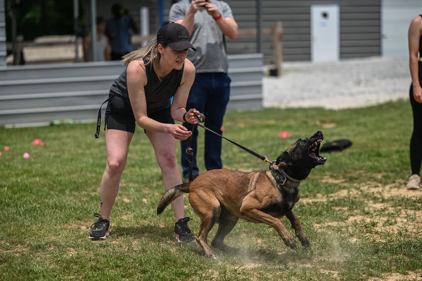 German Shepherd Protection Training