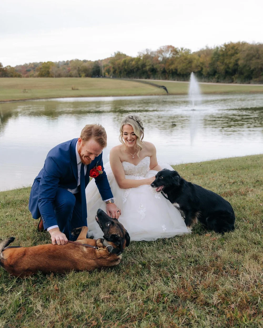 Cedar Valley Canine | Dog Training and German Shepherd Breeding