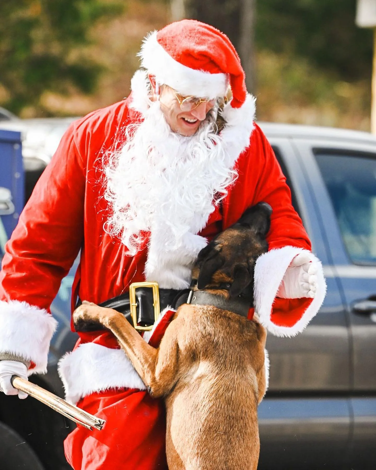 Cedar Valley Canine | Dog Training and German Shepherd Breeding