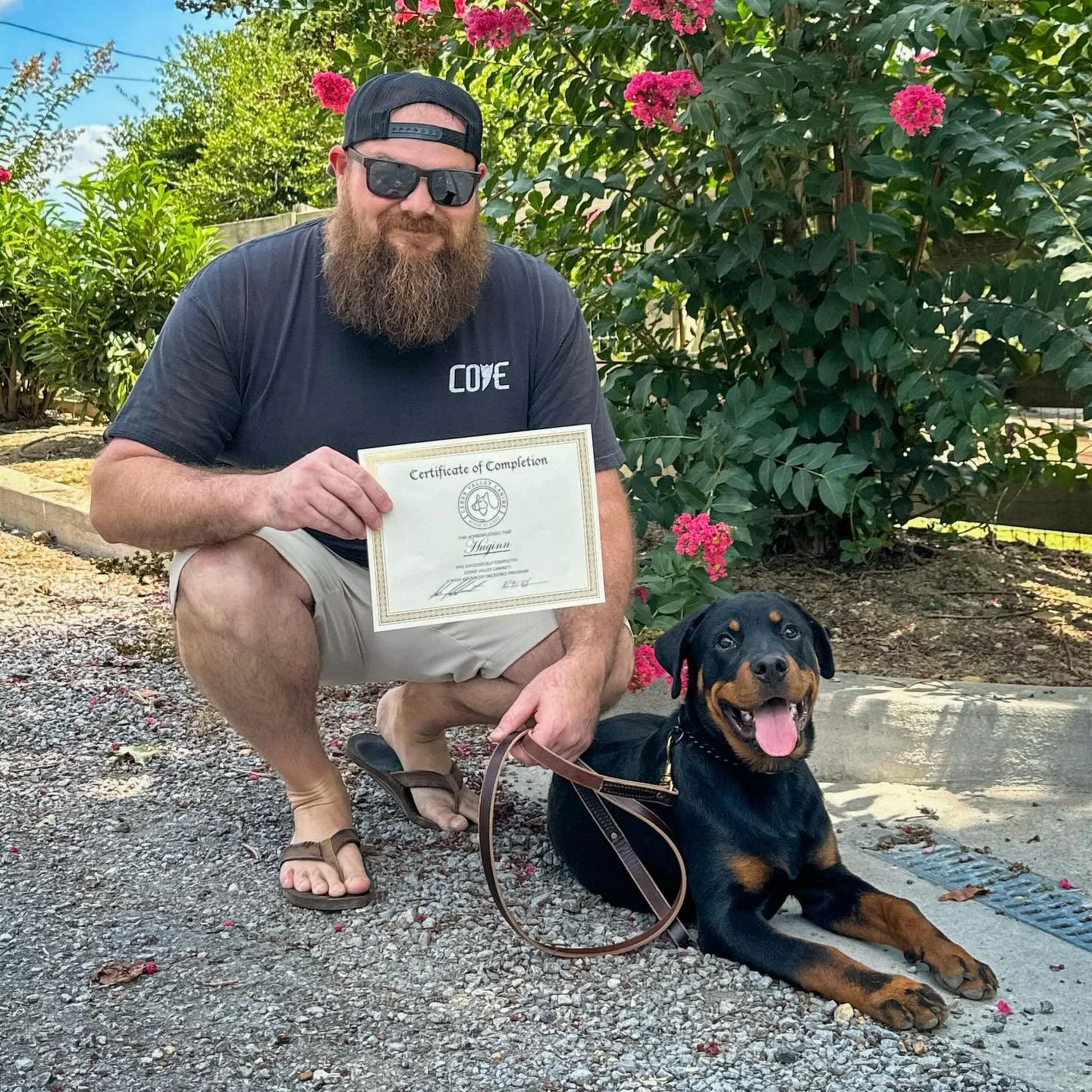 Cedar Valley Canine | Dog Training and German Shepherd Breeding