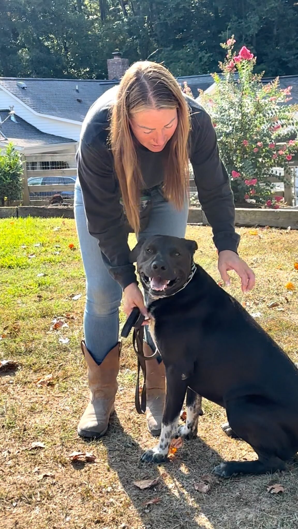 Cedar Valley Canine | Dog Training and German Shepherd Breeding