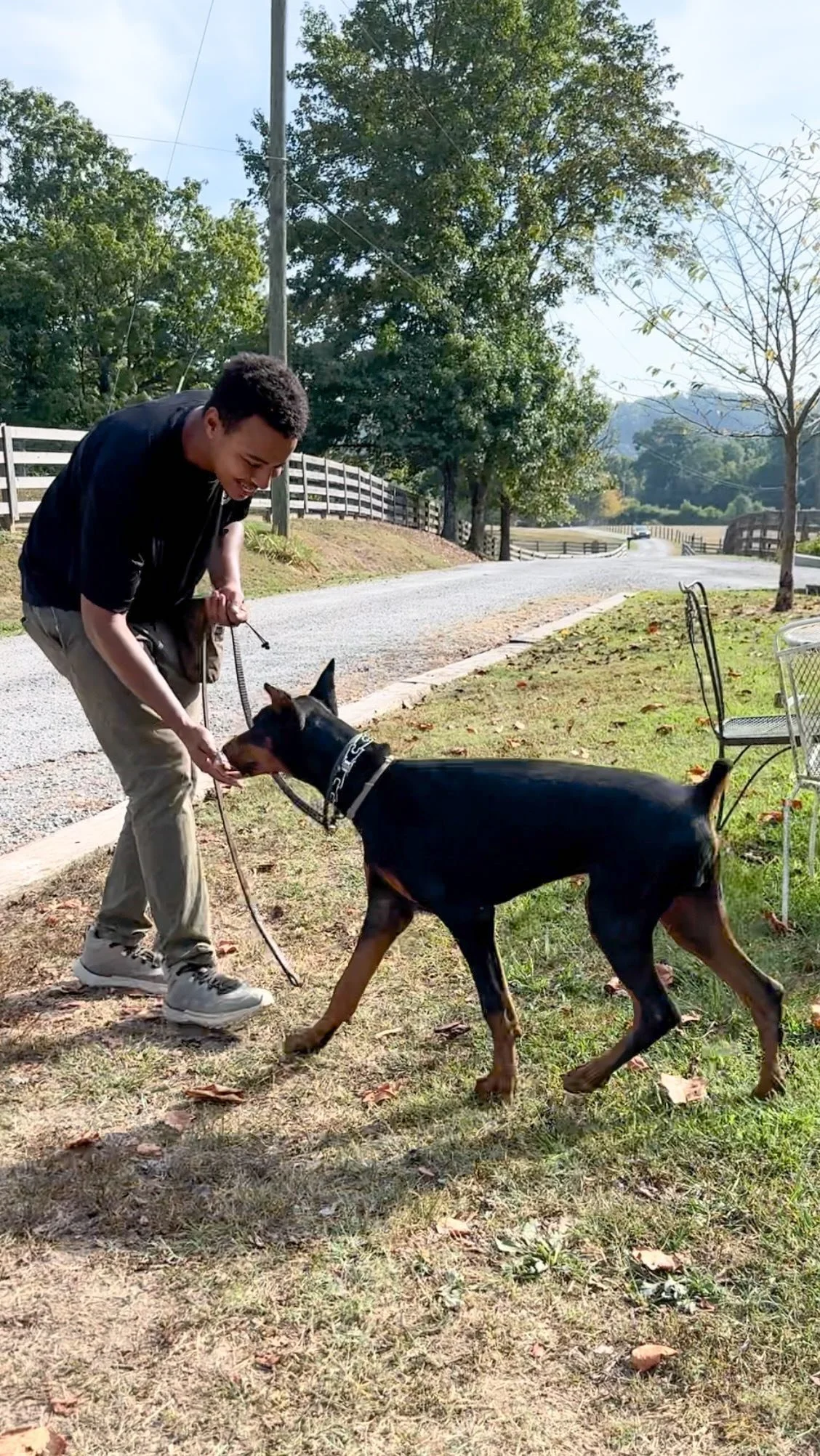 Cedar Valley Canine | Dog Training and German Shepherd Breeding
