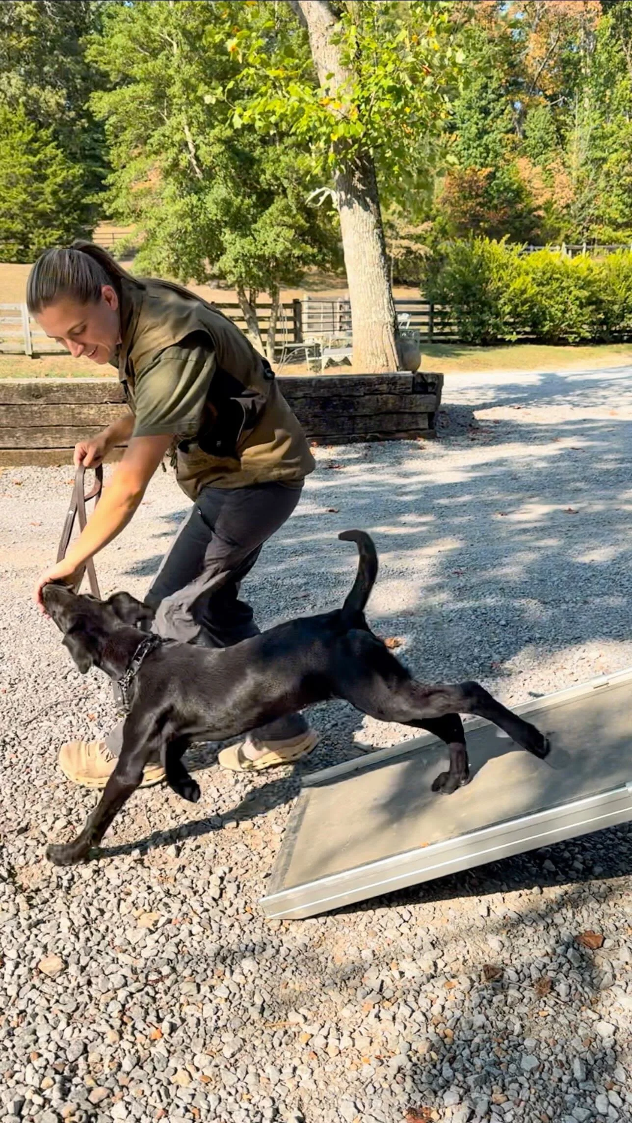 Cedar Valley Canine | Dog Training and German Shepherd Breeding