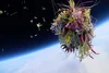 EXOBIOTANICA — BOTANICAL SPACE FLIGHT — Japan Suite