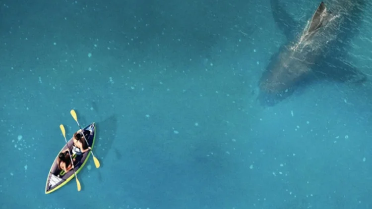 Trailer for New Shark Attack Thriller THE REEF: STALKED — GeekTyrant