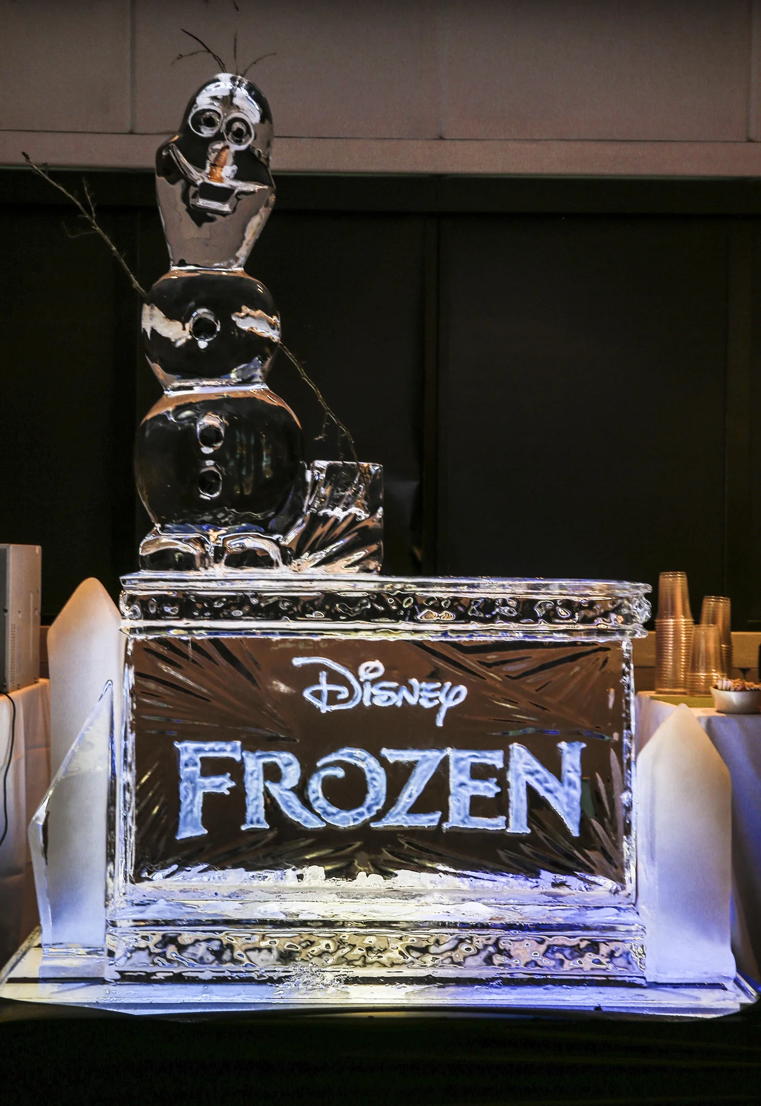 FROZEN: Why CGI Iteration Wins Over Hand-drawn — GeekTyrant