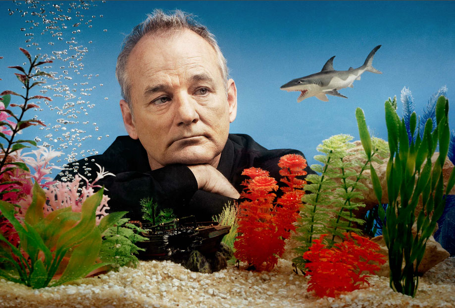 Bill Murray to Join Cameron Crowe's Romantic Comedy — GeekTyrant