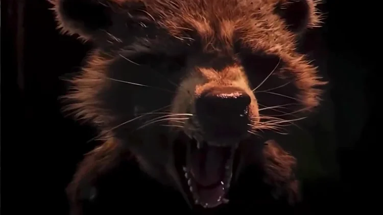 Bradley Cooper Relates Rocket Raccoon's Most Emotional Scene in ...