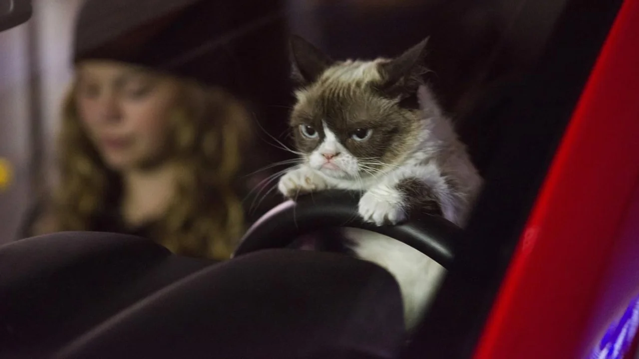 Trailer for GRUMPY CAT'S WORST CHRISTMAS EVER — GeekTyrant