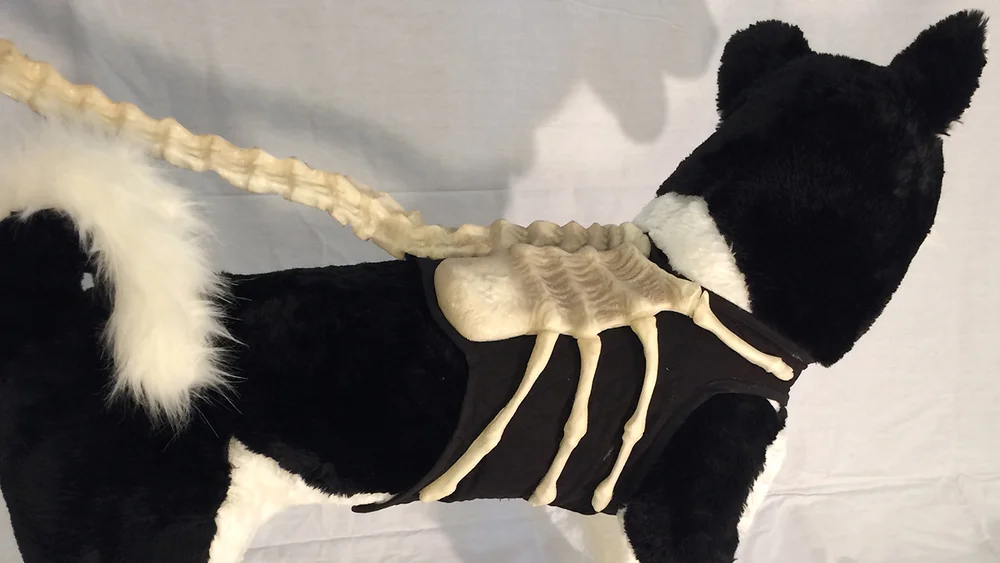 ALIEN Facehugger Dog Leash — GeekTyrant