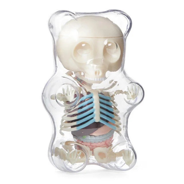 Anatomy of a Gummy Bear — GeekTyrant